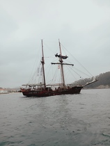 La monada que he tenido el placer de ver +foto - Forocoches